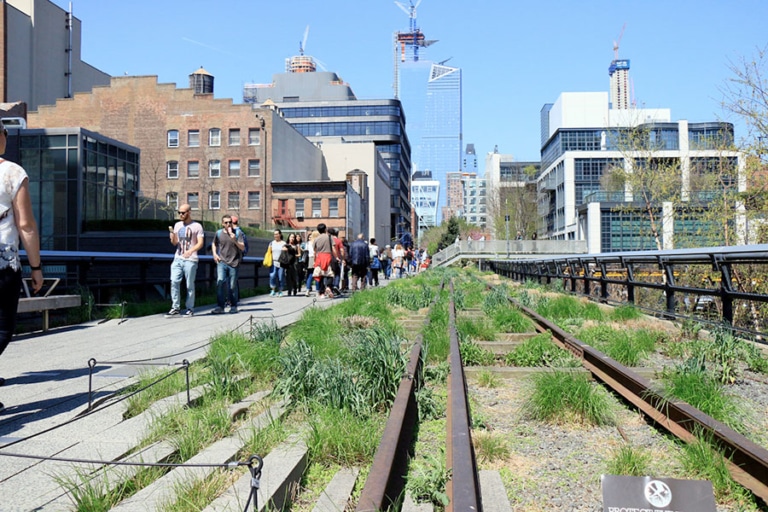 High Line de New York : une promenade devenue incontournable